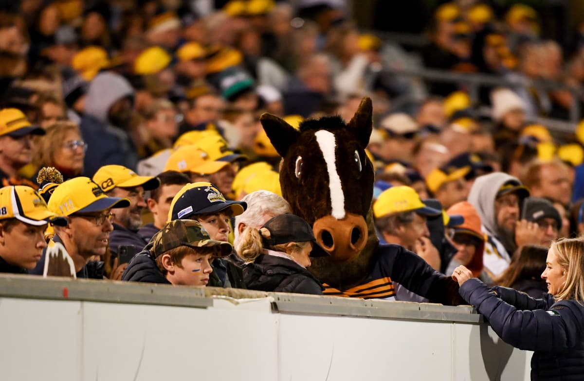 Game Day Guide: Brumbies Double Header